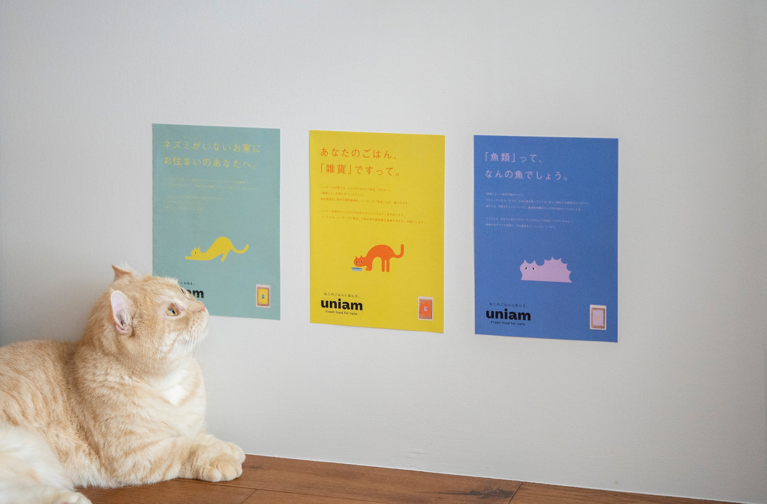 株式会社uniam（ユニアム）について - 会社概要