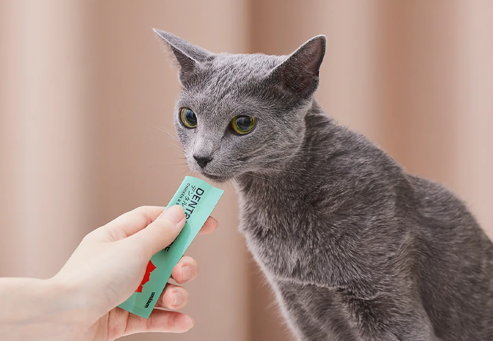 株式会社uniam（ユニアム）について - 会社概要