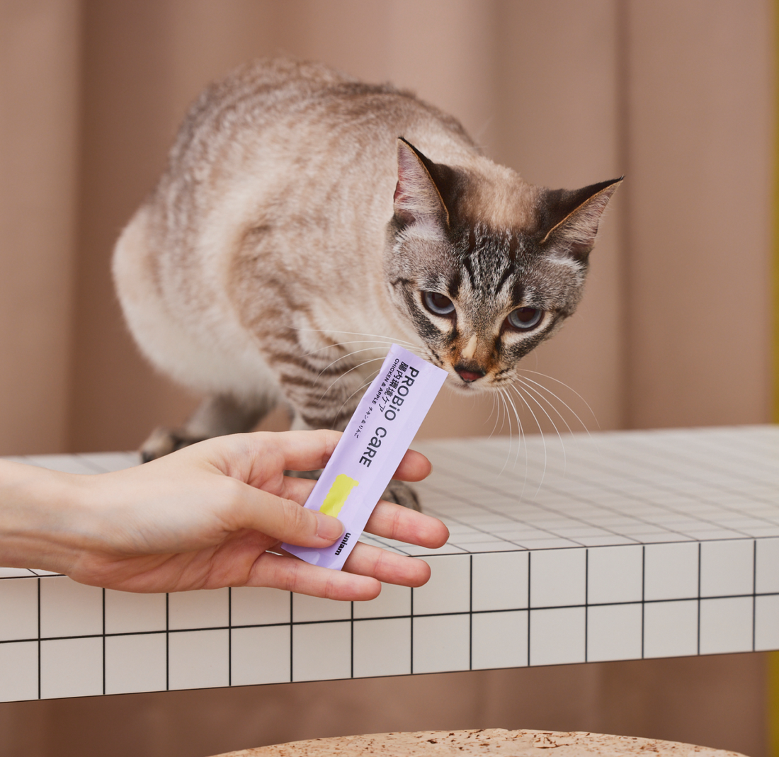 ピュアピューレ | 獣医師が自ら開発した機能性おやつ – uniam（ユニアム）