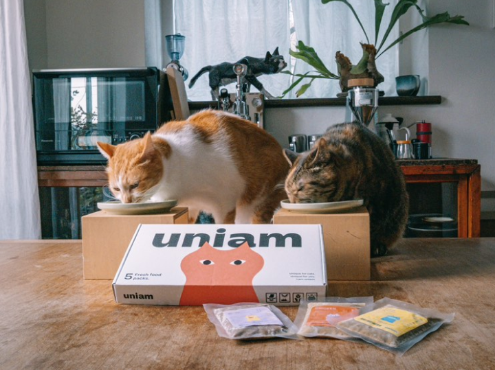 ねこたちのごきげんな声（レビュー） – uniam（ユニアム）